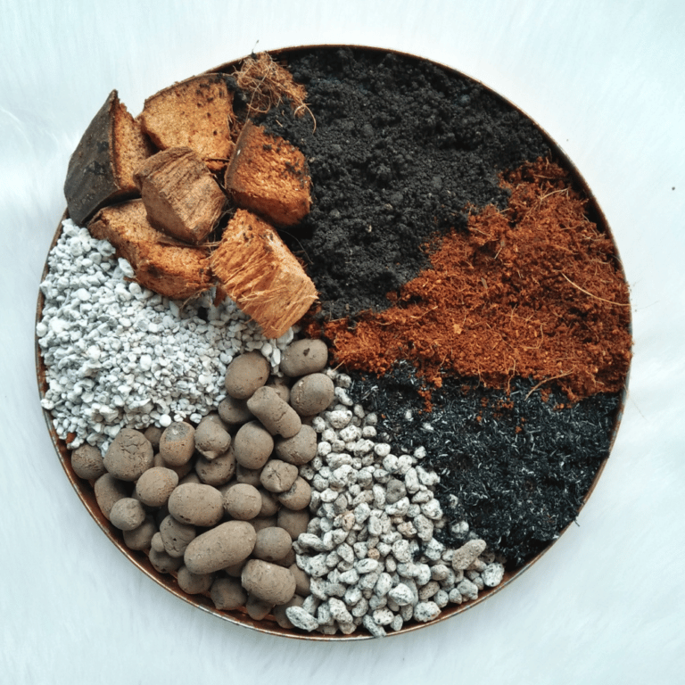 Premium Aroid Soil Mix 5L - Sprout lab