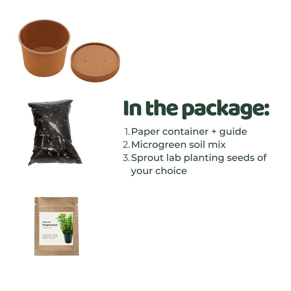Paper Cup Herb Grow Kit - Sprout lab