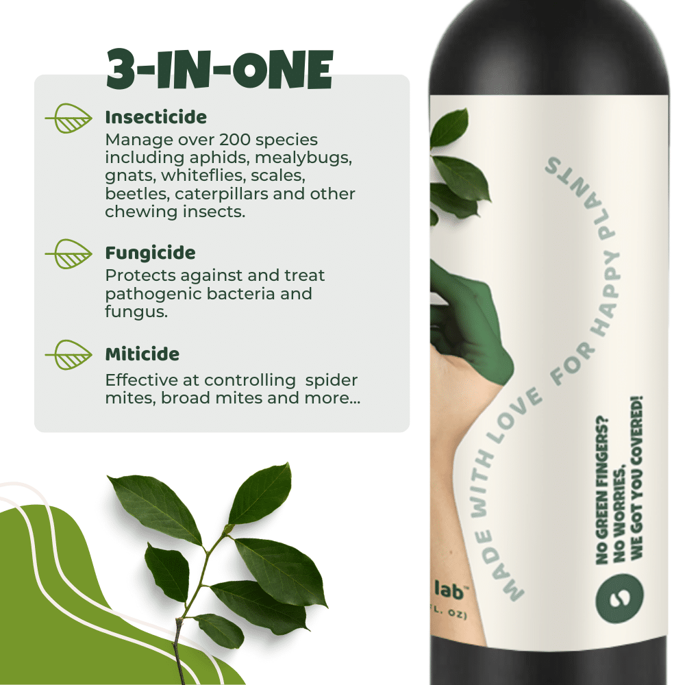 Plant SHIELD | Natural Insecticide Plant Spray