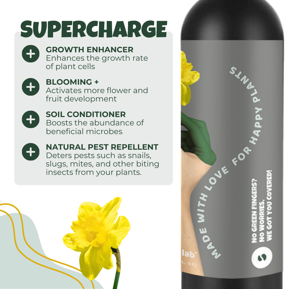 Plant Boost Supercharger Spray | Hydroponics Gardening