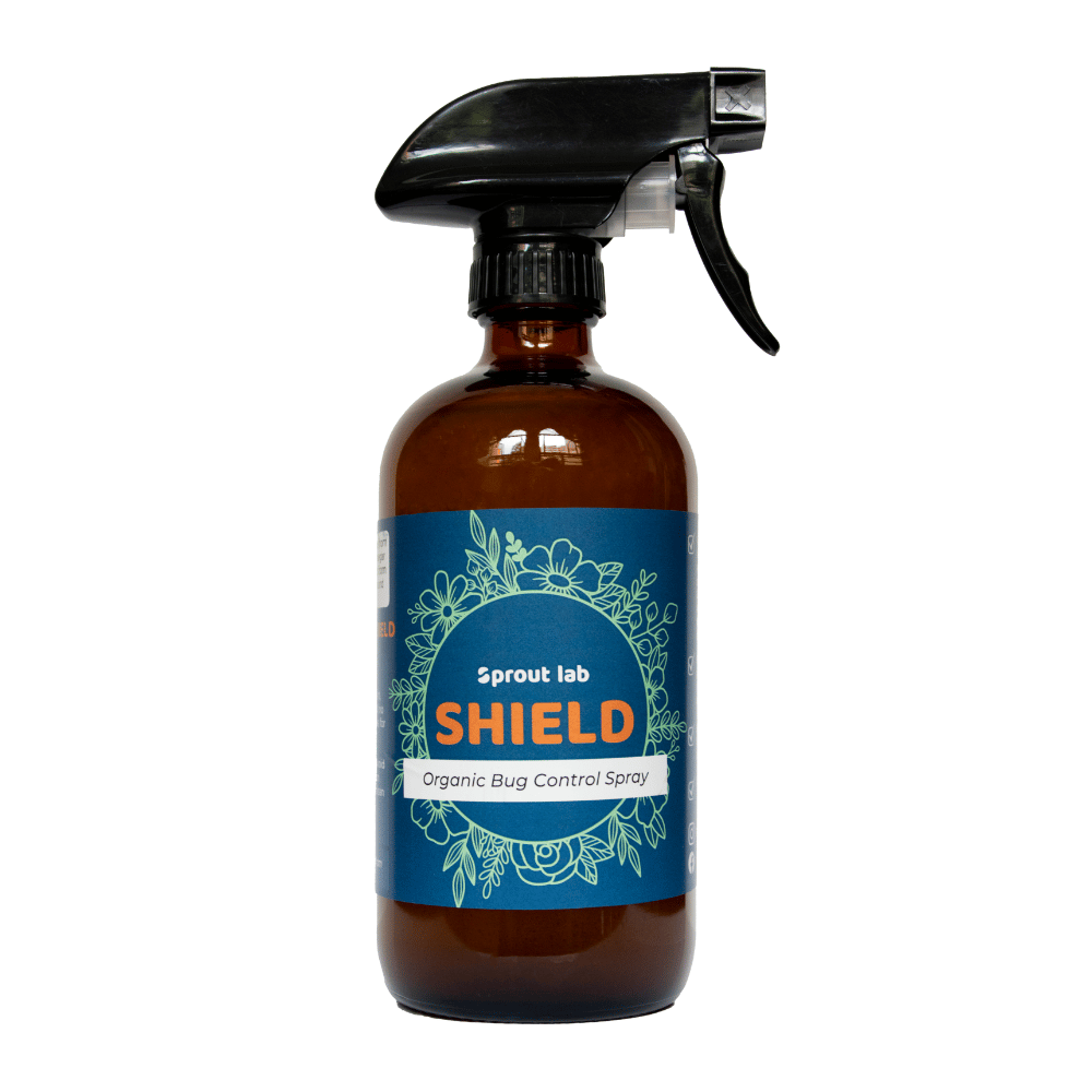 Plant Care - Sprout lab